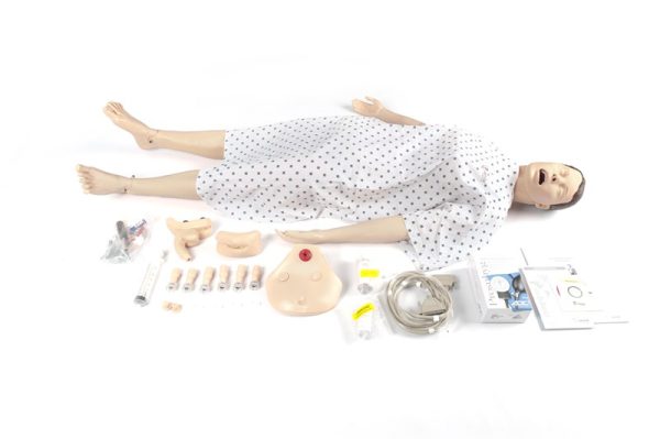Nursing Anne Basic (Non – Electronic) – Laerdal – Survival Technology