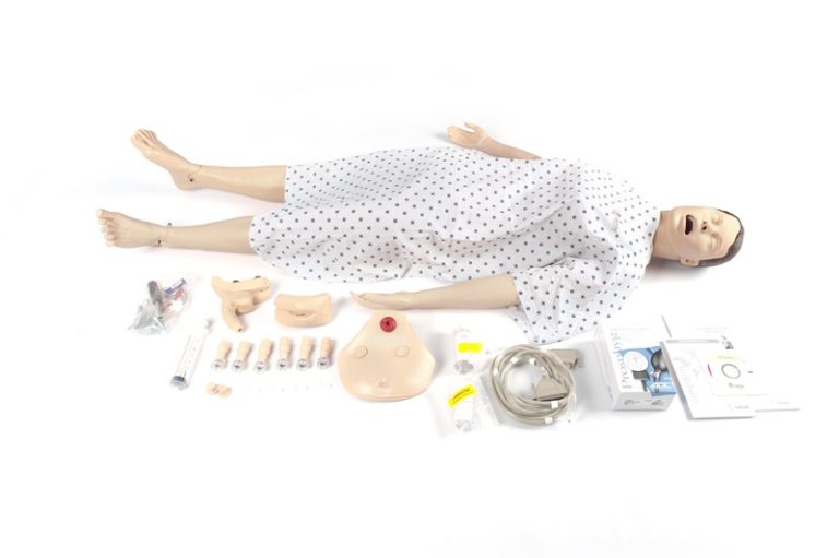 Nursing Anne Basic (Non – Electronic) – Laerdal – Survival Technology